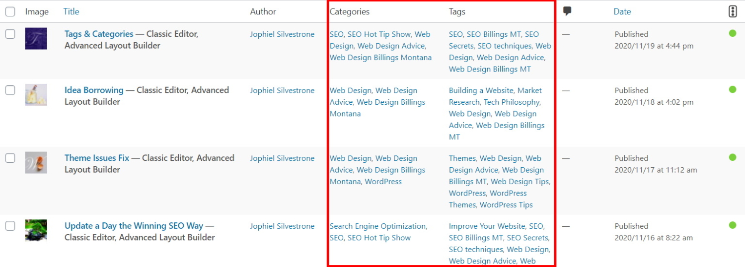 Tags & Categories - Web Design Billings MT SkyPoint Studios
